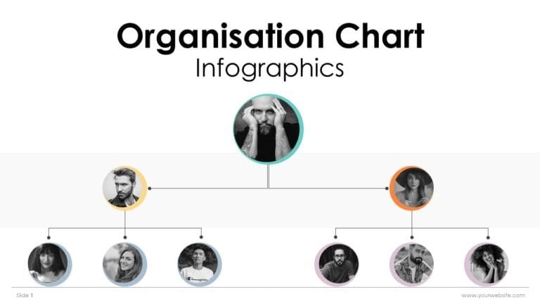 Organisation Chart Infographics | SlidesBrain