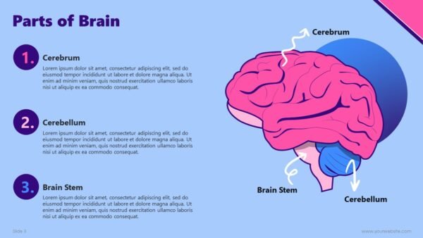 Amazing Brain Kids Presentation | SlidesBrain