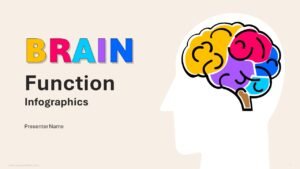 Brain Function Infographics Presentation Templates