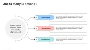 One to many 3 options Infographics Presentation Templates