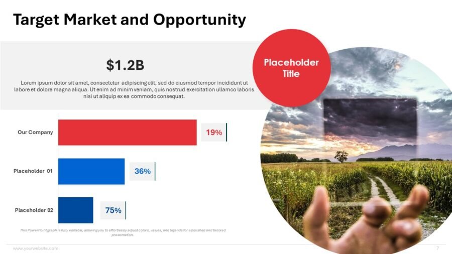 Target Market and Opportunity Presentation | SlidesBrain