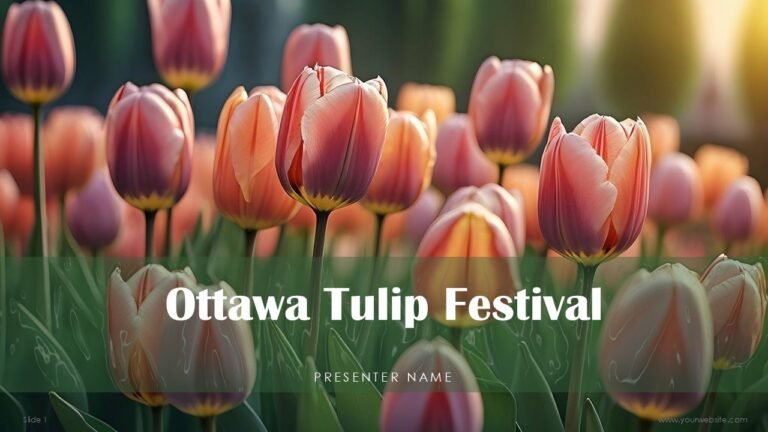 Ottawa Tulip Festival PowerPoint Template and Google Slides | SlidesBrain