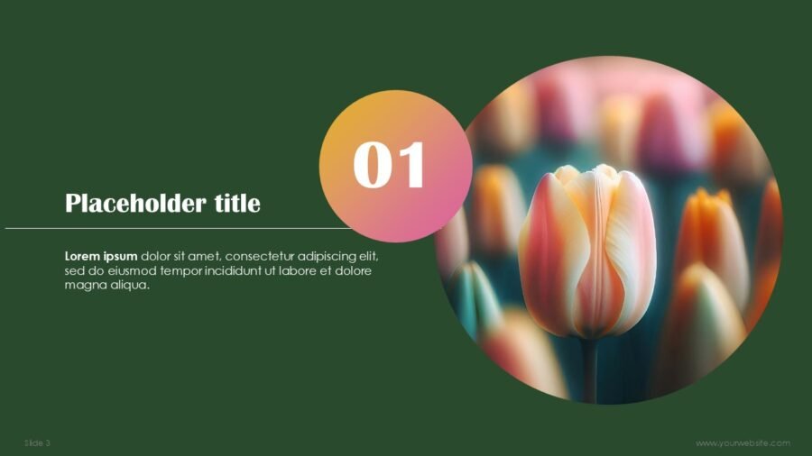 Ottawa Tulip Festival PowerPoint Template and Google Slides | SlidesBrain