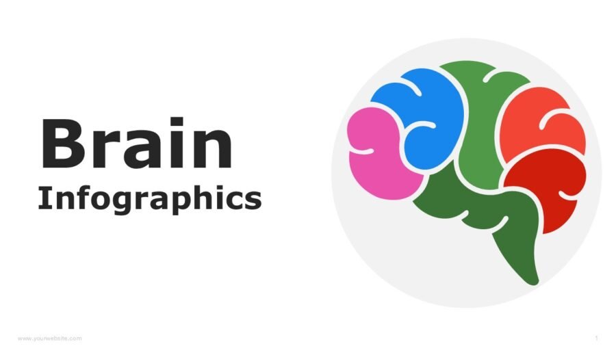 Creative Brain Infographics Templates for PPT and Google Slides